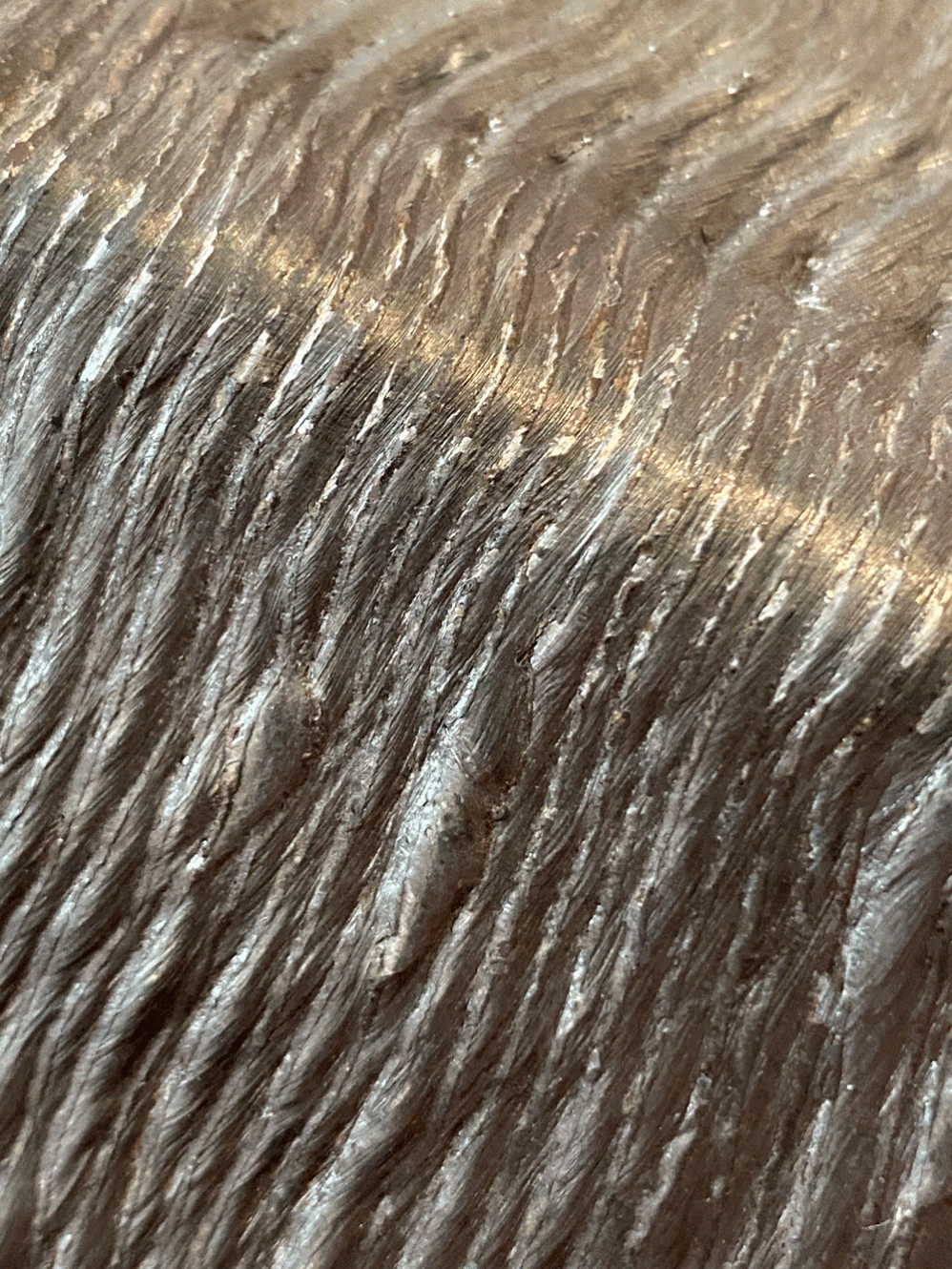 WAAM for the Built Environment | facadeworld